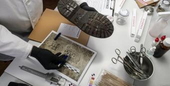 The Role of DNA Analysis in Forensic Science