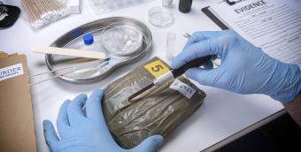 12 Different Types of Forensic Science