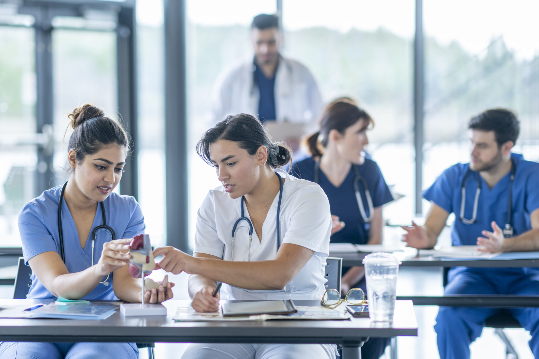 What Do You Learn in Nursing School (Student Guide)
